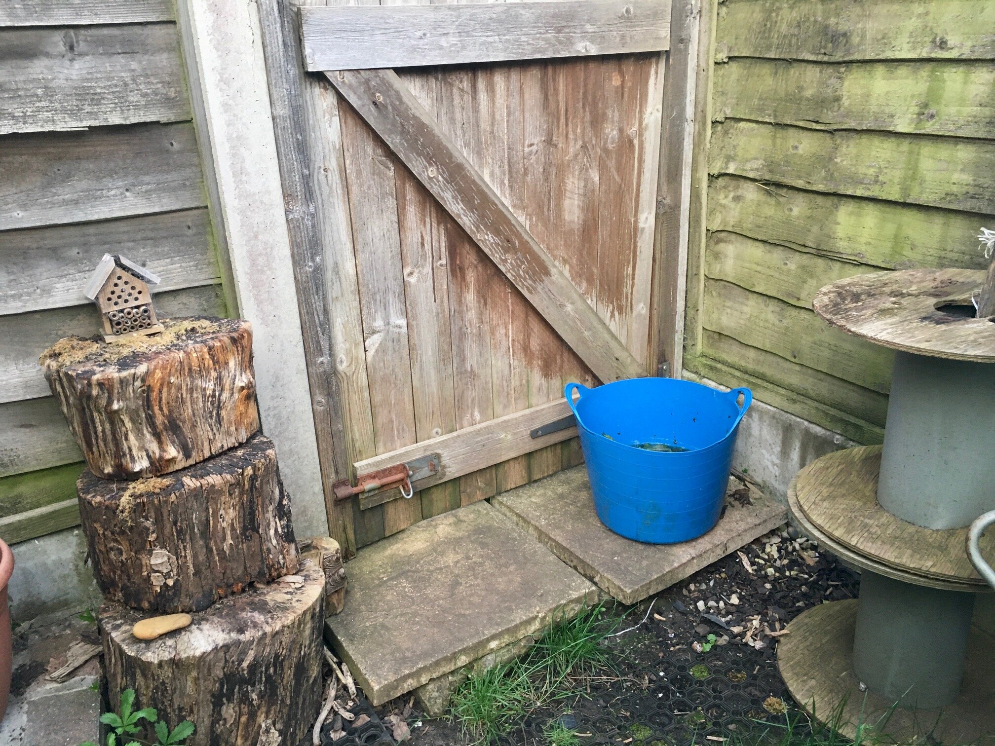 Make your own nettle fertiliser - Mud & Bloom