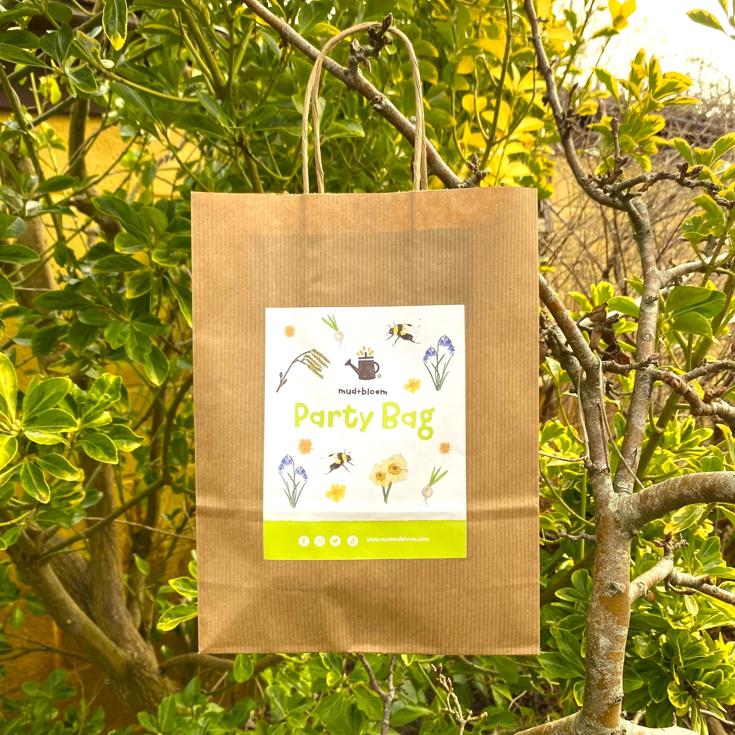 Nature-inspired party bags for 3-8 year olds.