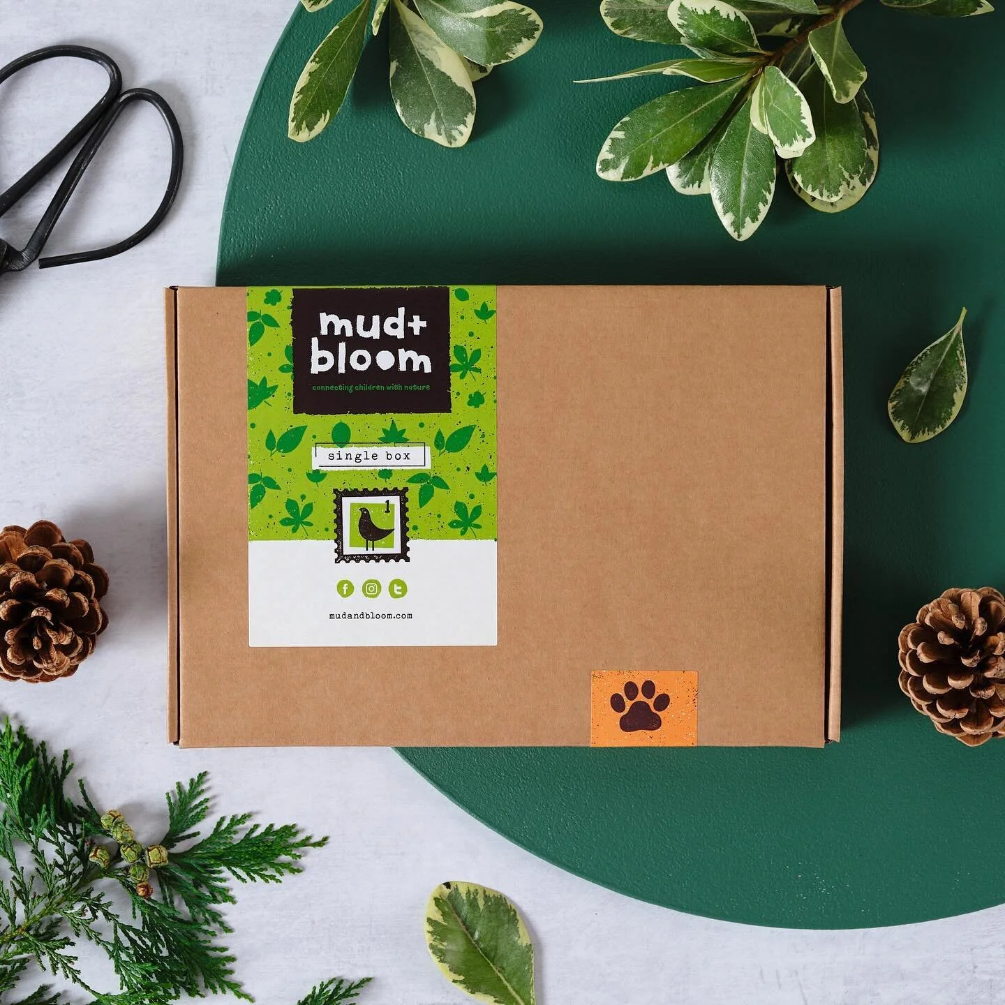 Buy our previous months' Mud & Bloom boxes