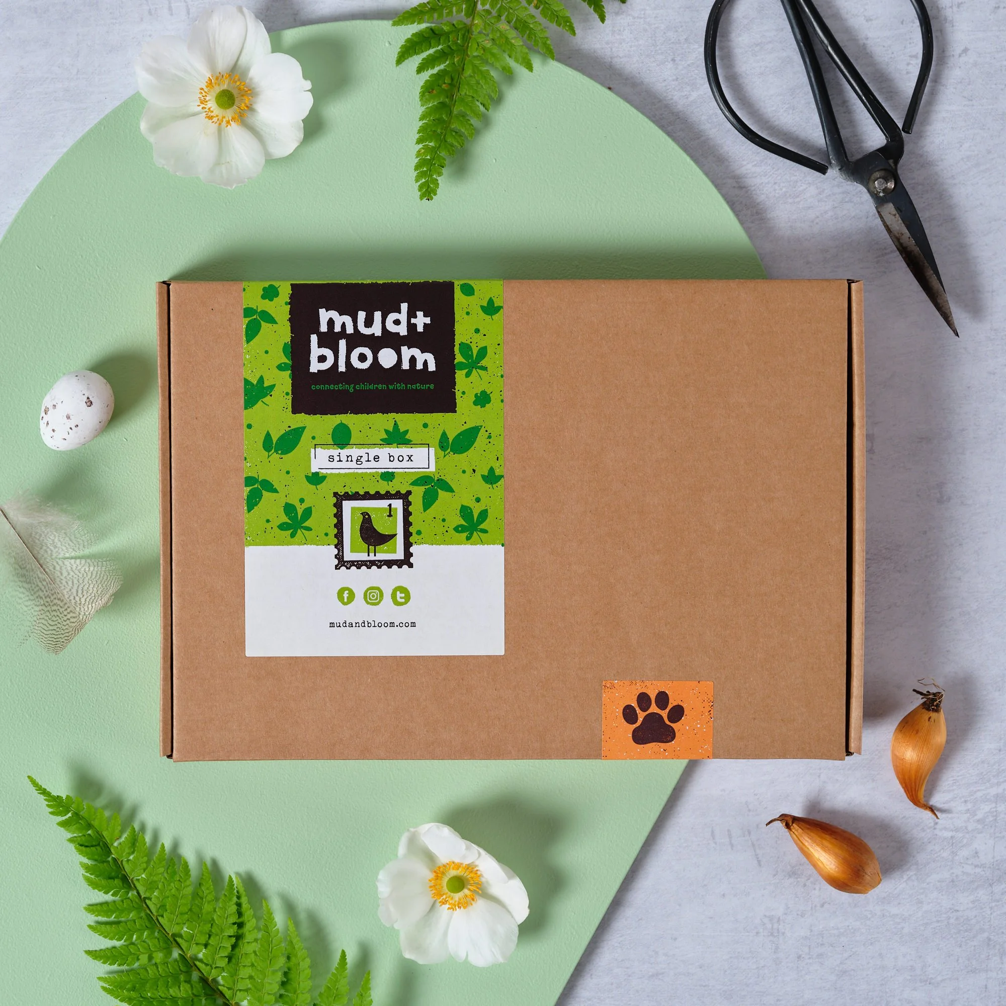 Press Page - News from Mud & Bloom