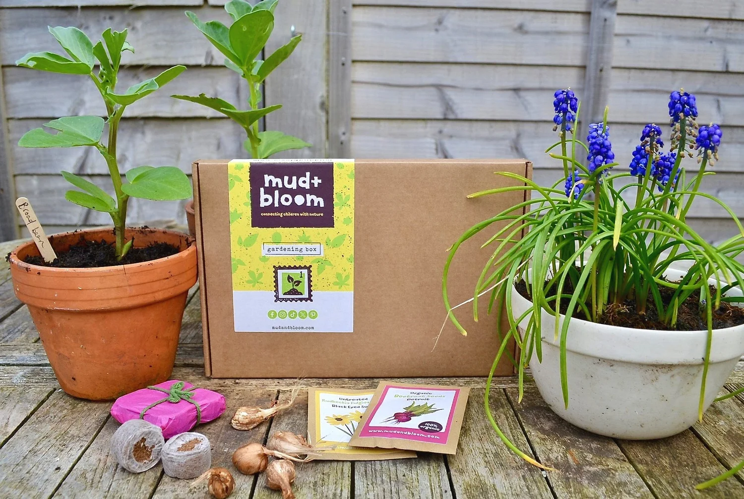 Award-winning children's gardening and nature-inspired activity box for ...