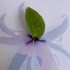 Ink-powered leaf boat - Mud & Bloom
