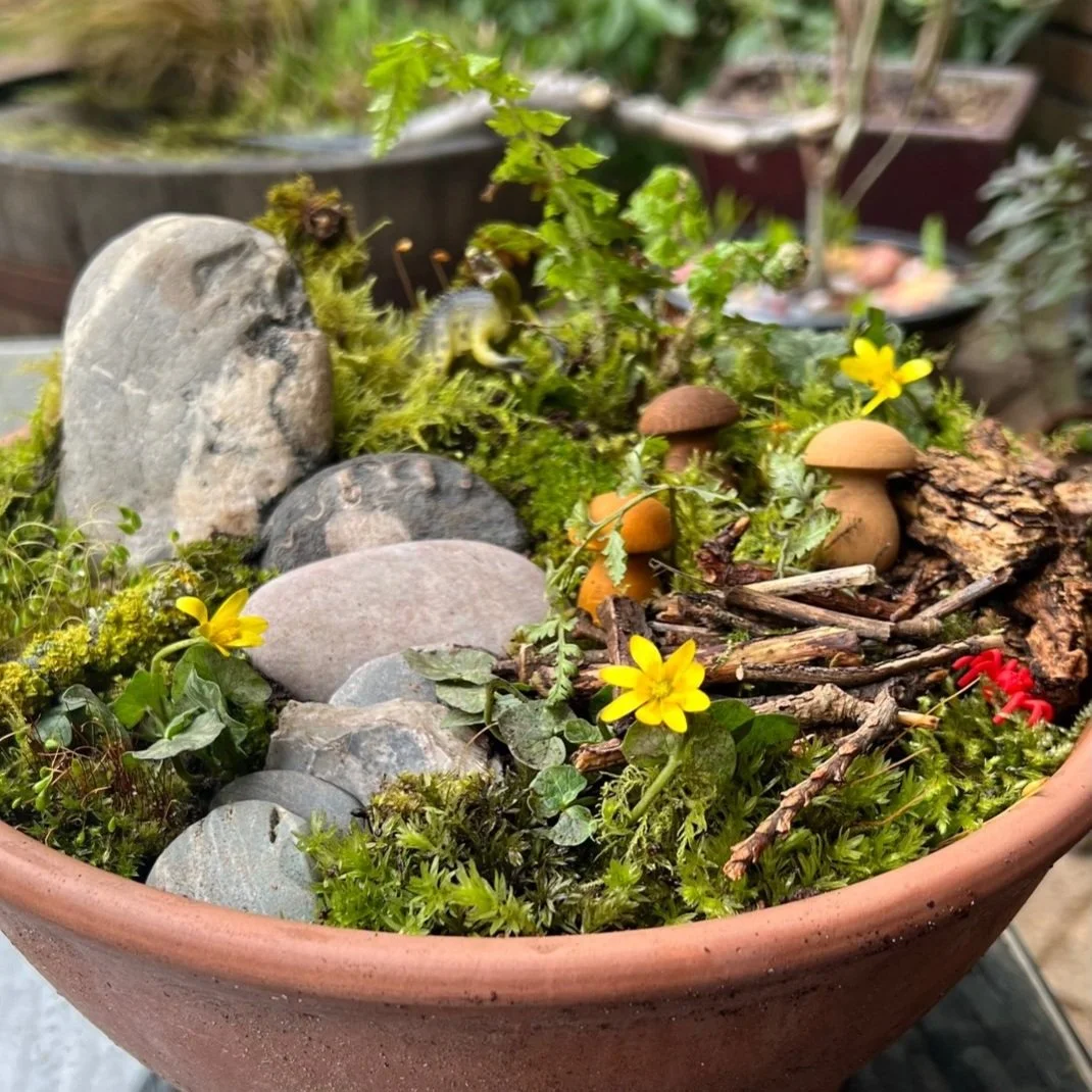 Make a miniature woodland garden - Mud & Bloom