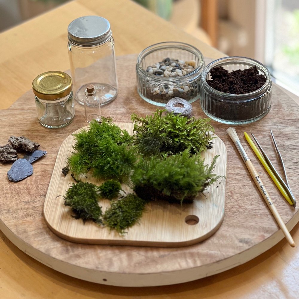 Make a miniature mossarium - Mud & Bloom