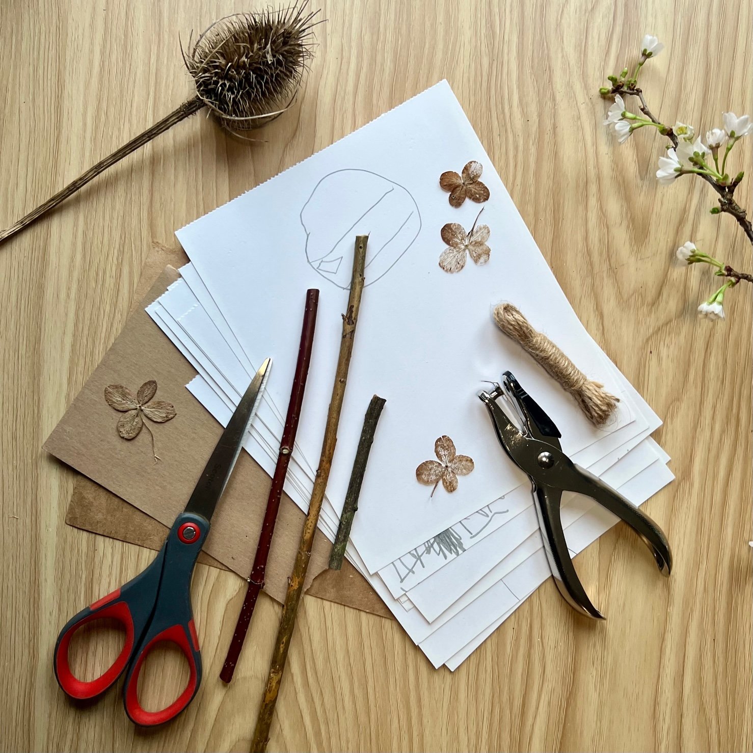 Fairy notebooks - Mud & Bloom