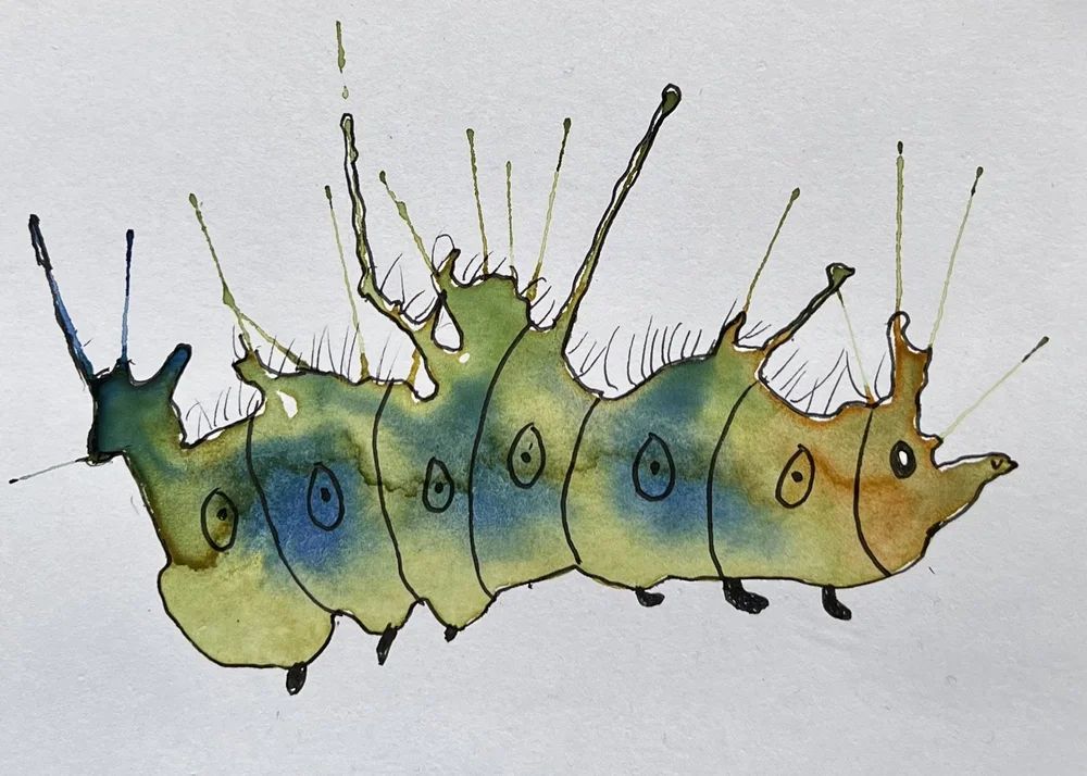 Watercolour critters - Mud & Bloom
