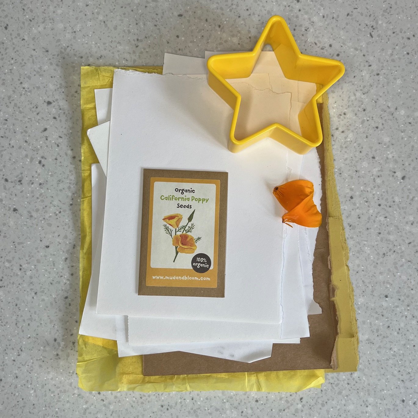 Plantable seed tags - Mud & Bloom