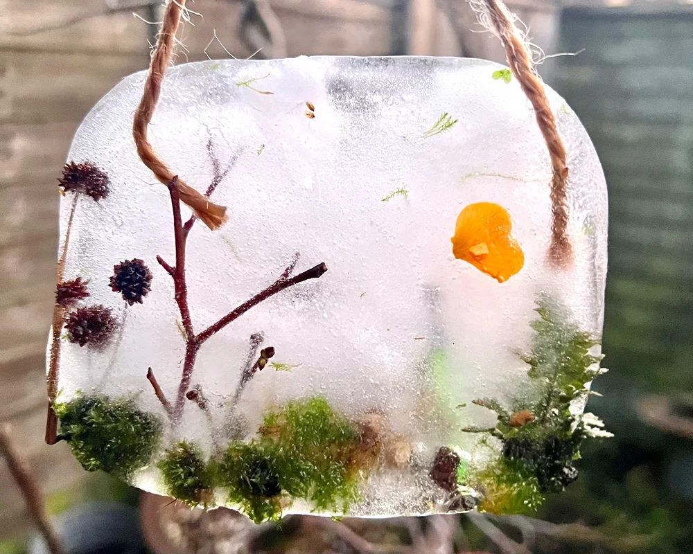 Ice art - Mud & Bloom