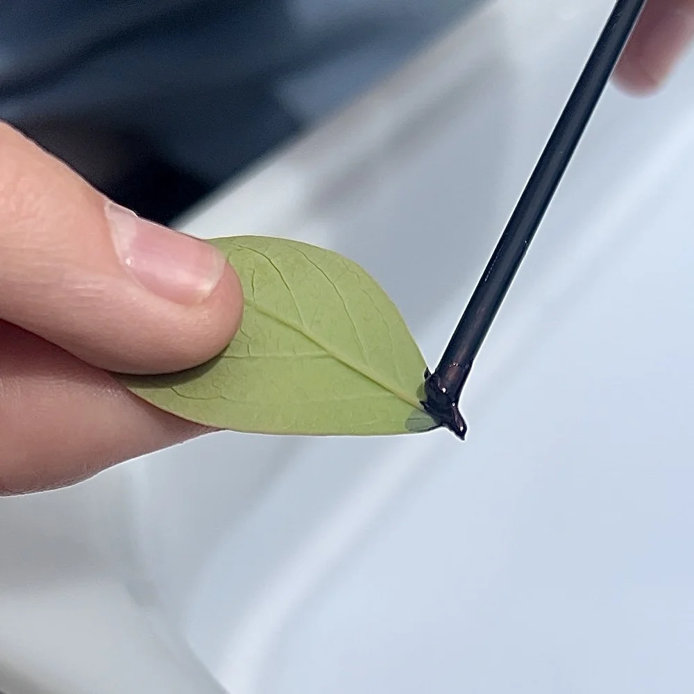 Ink-powered leaf boat - Mud & Bloom