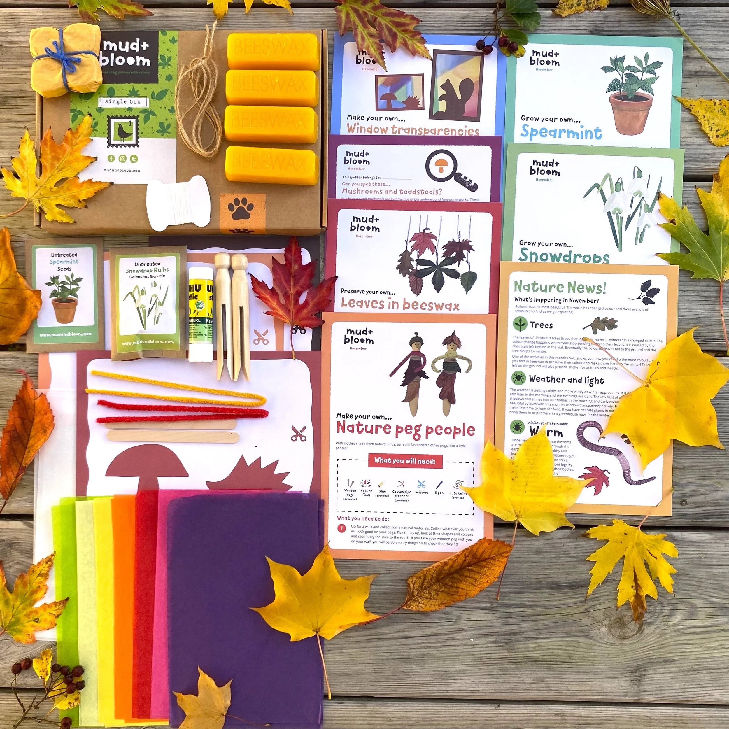 Award-winning children's gardening and nature-inspired activity box for ...