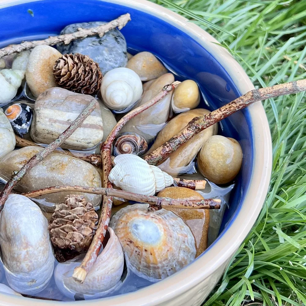 Make an insect watering station - Mud & Bloom