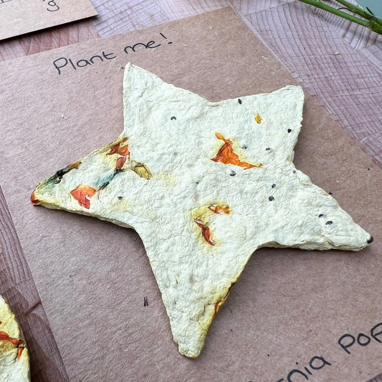 Plantable seed tags - Mud & Bloom