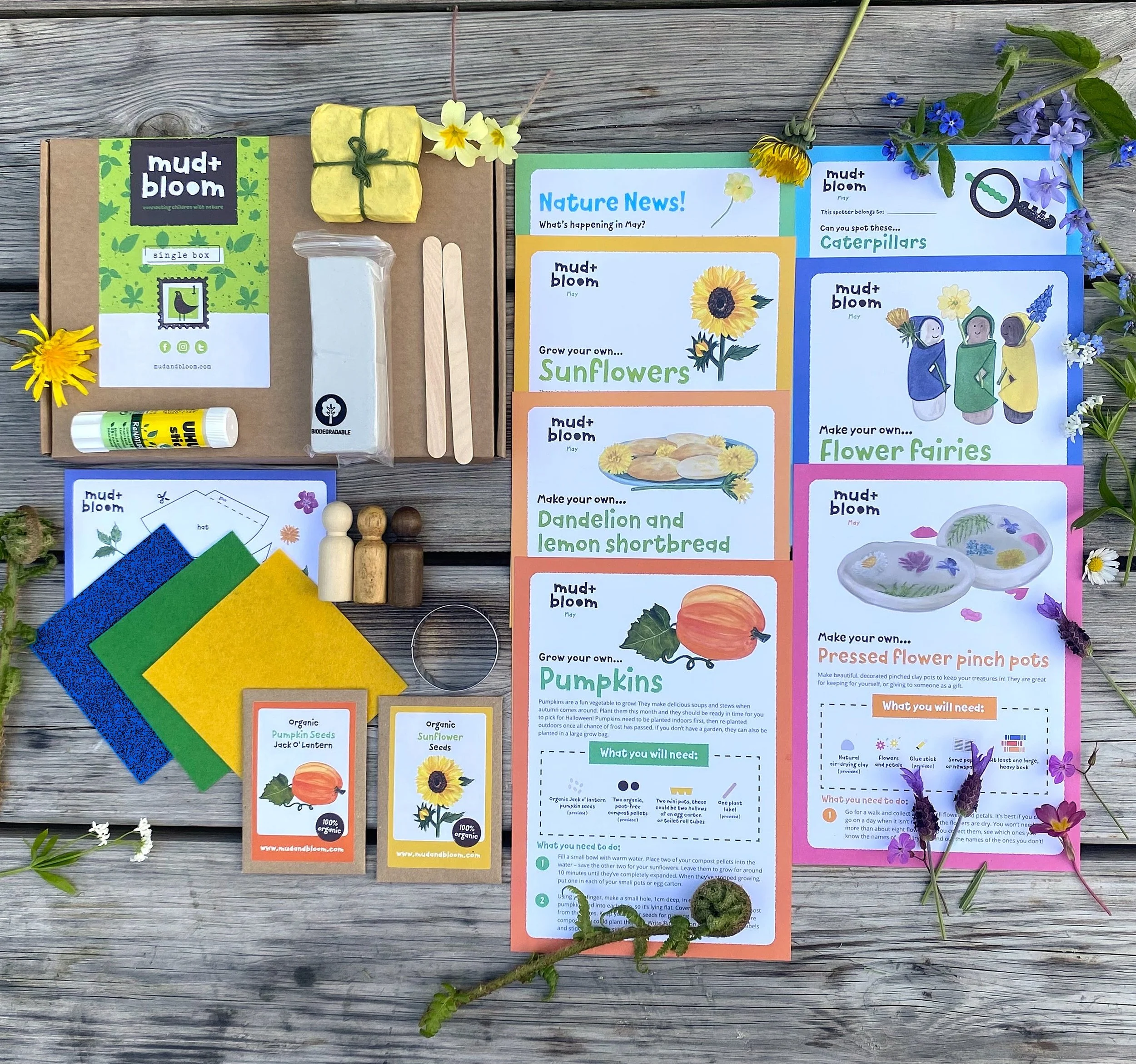 Award-winning children's gardening and nature-inspired activity box for ...