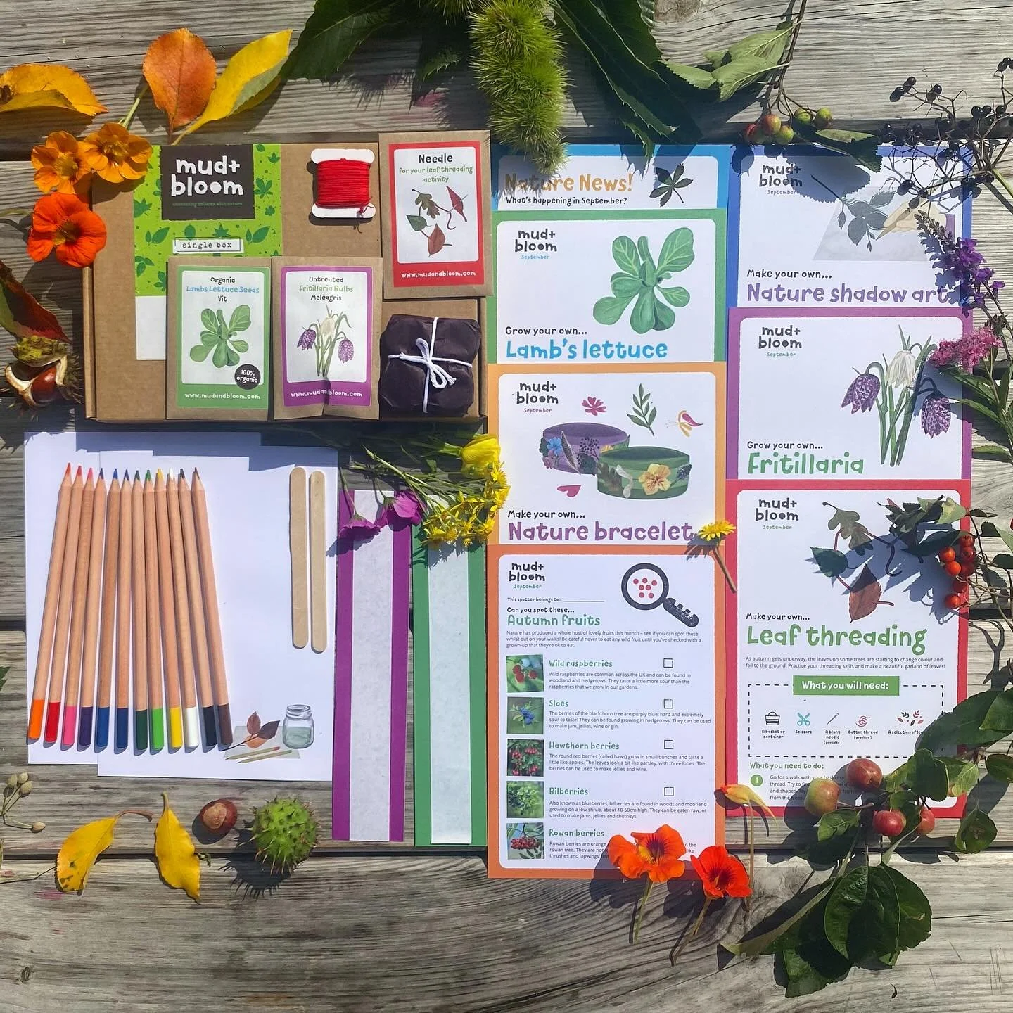 Award-winning children's gardening and nature-inspired activity box for ...