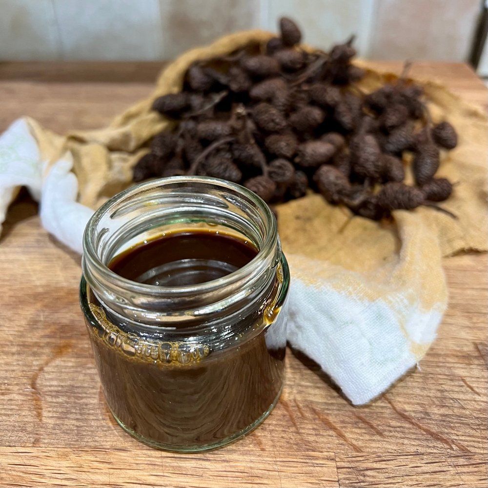 Make your own alder cone ink and dip pen - Mud & Bloom