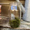 Make a ghostly jam jar - Mud & Bloom