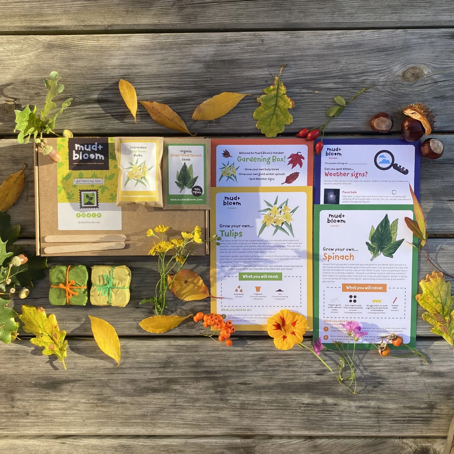 Award-winning children's gardening and nature-inspired activity box for ...