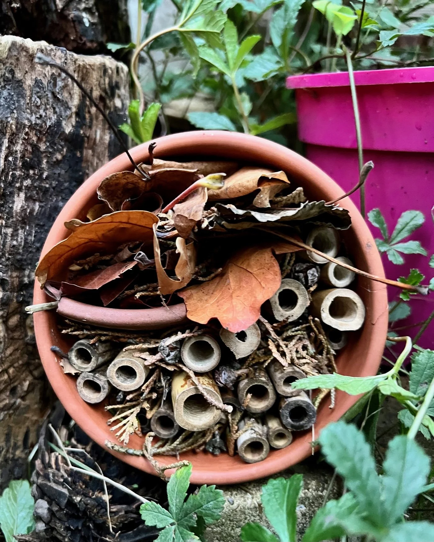 Make a bug hotel - Mud & Bloom