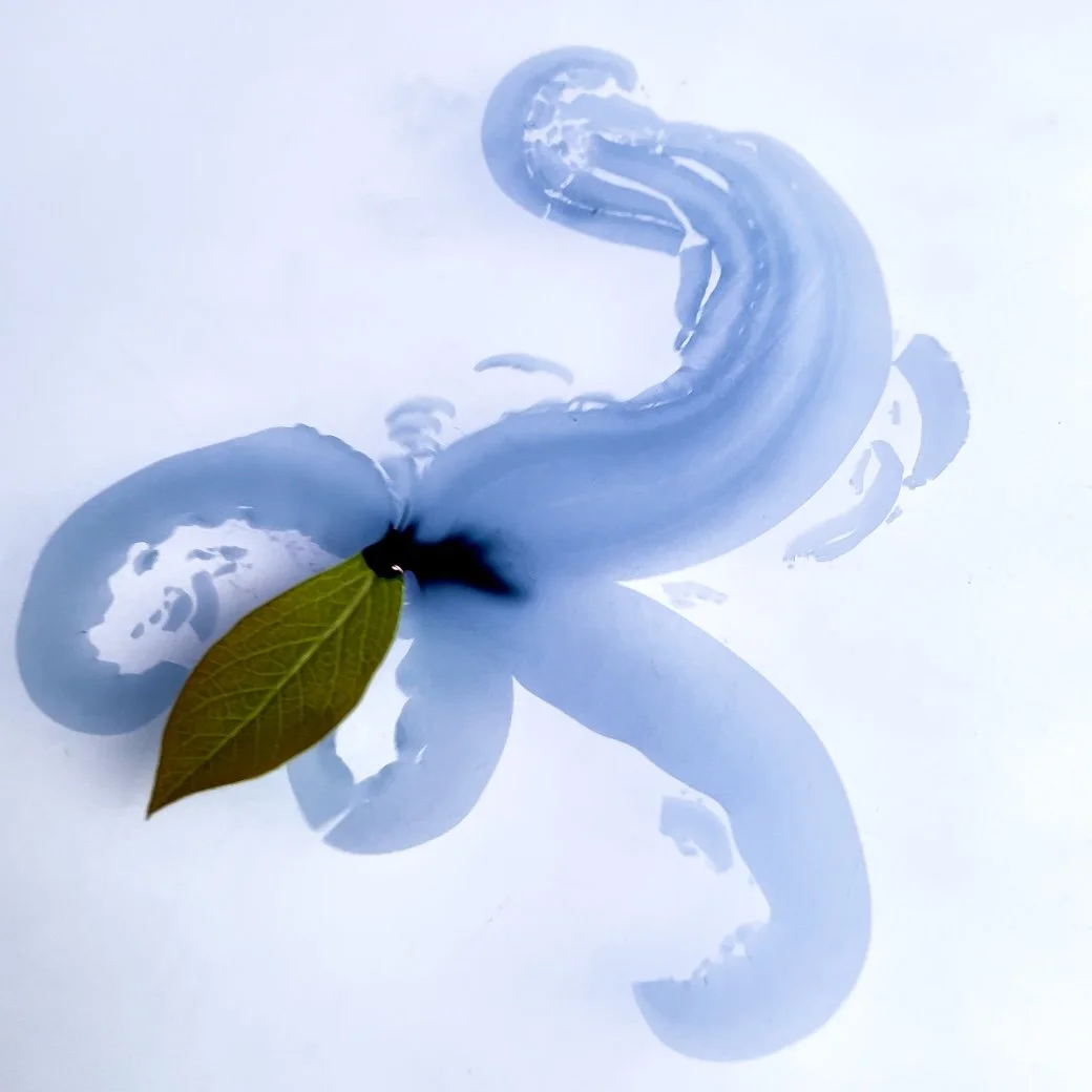 Ink-powered leaf boat - Mud & Bloom