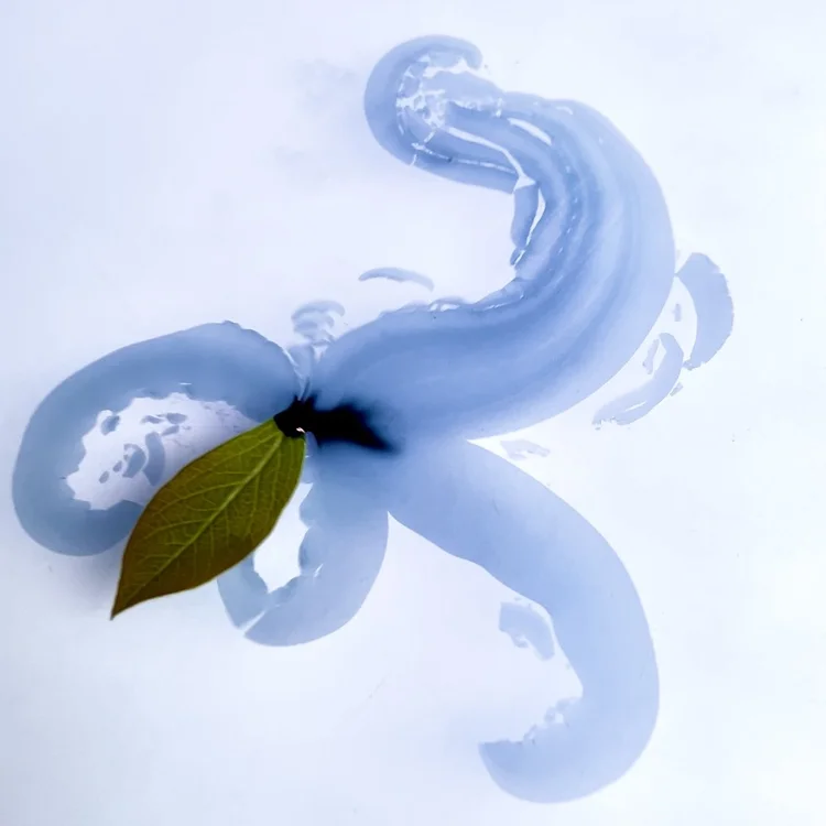 Ink-powered leaf boat - Mud & Bloom