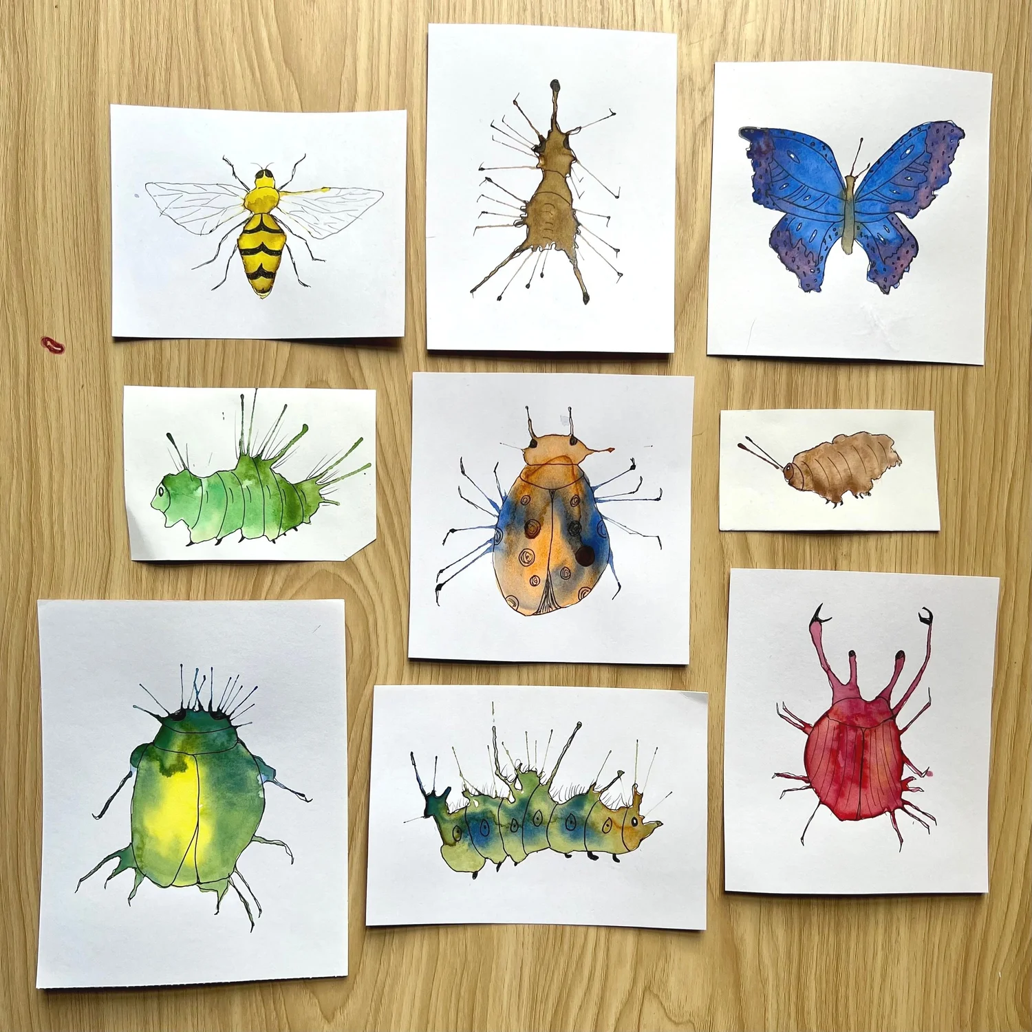 Watercolour critters - Mud & Bloom