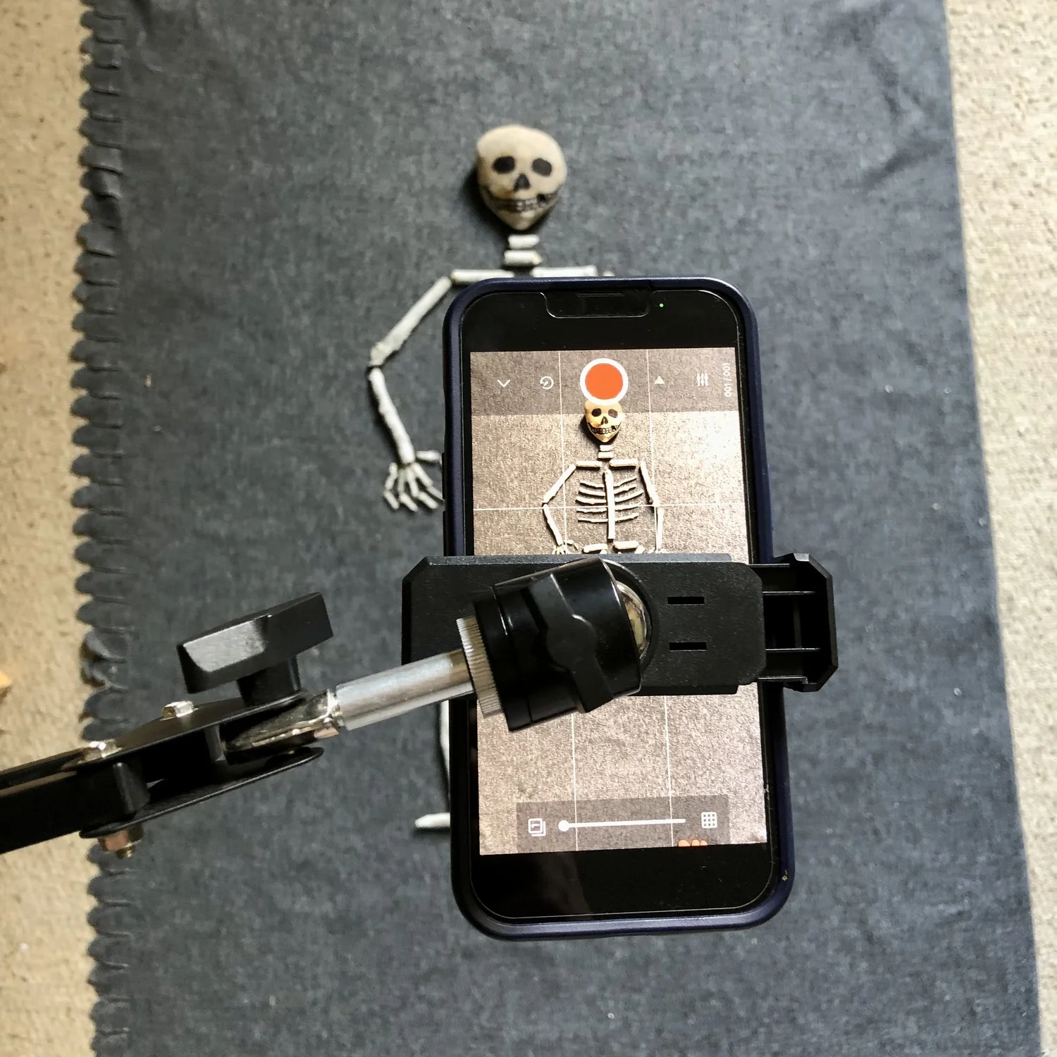 Stop motion stick skeleton - Mud & Bloom