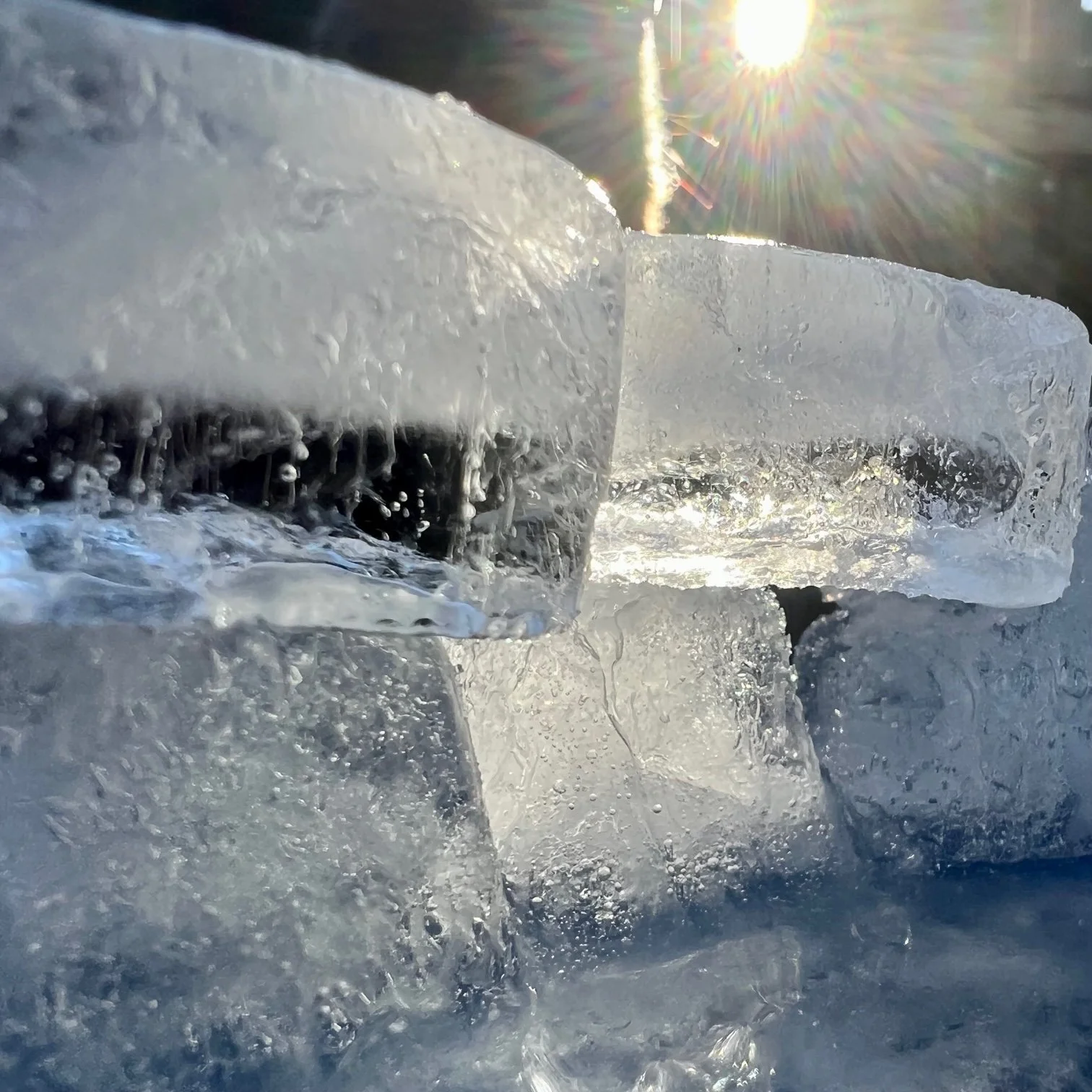 Make an ice cube igloo - Mud & Bloom