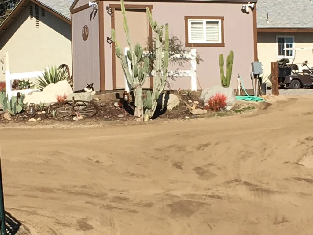 Photo Gallery — Rocking T Ranch