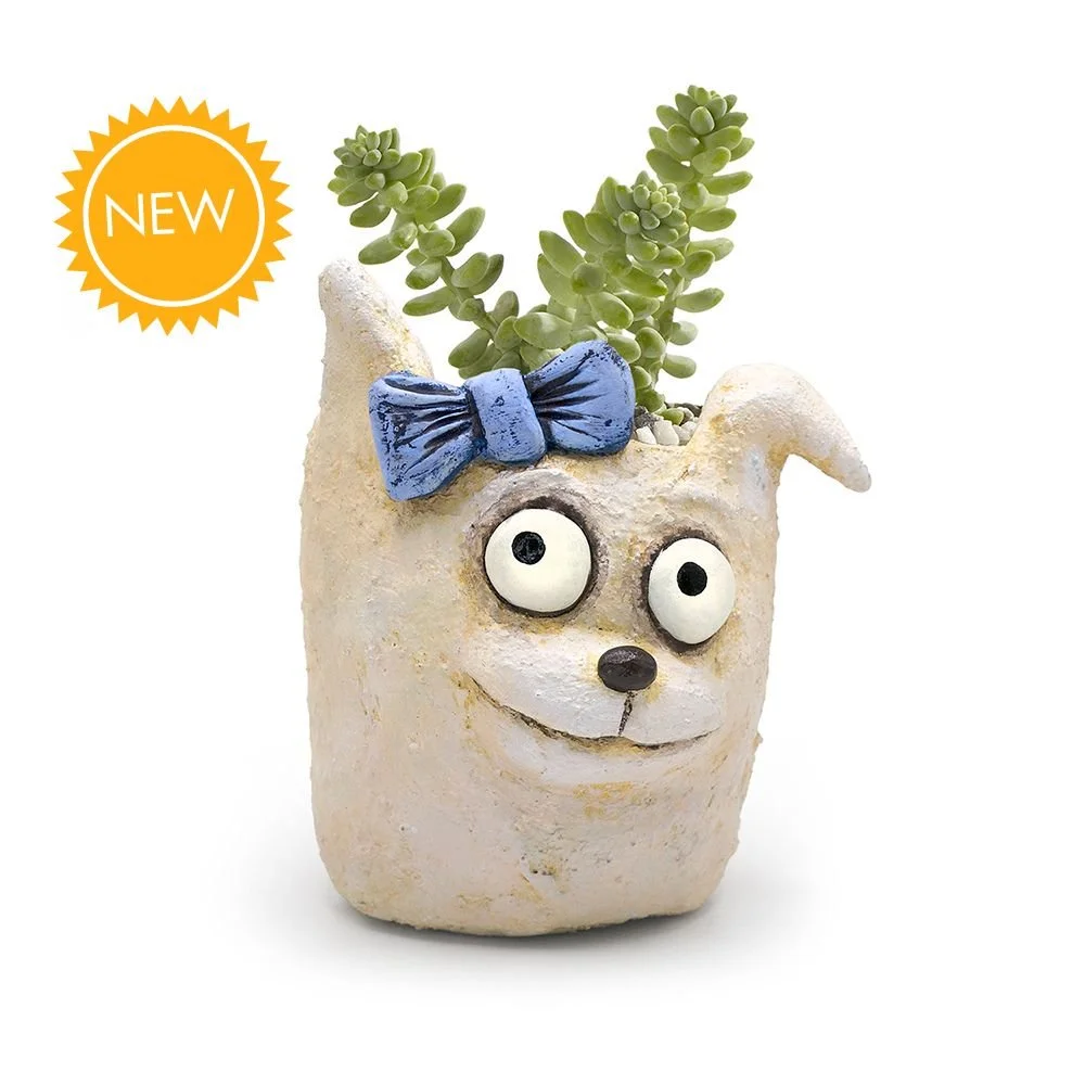 Cohasset Gifts and Garden — Full Blobhouse