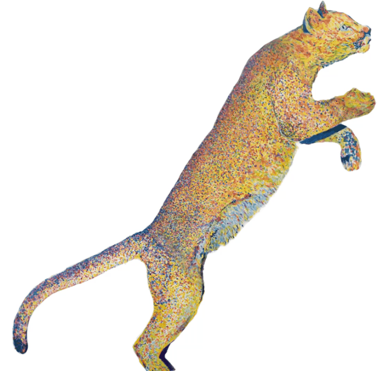 Mountain Lion Running Gif