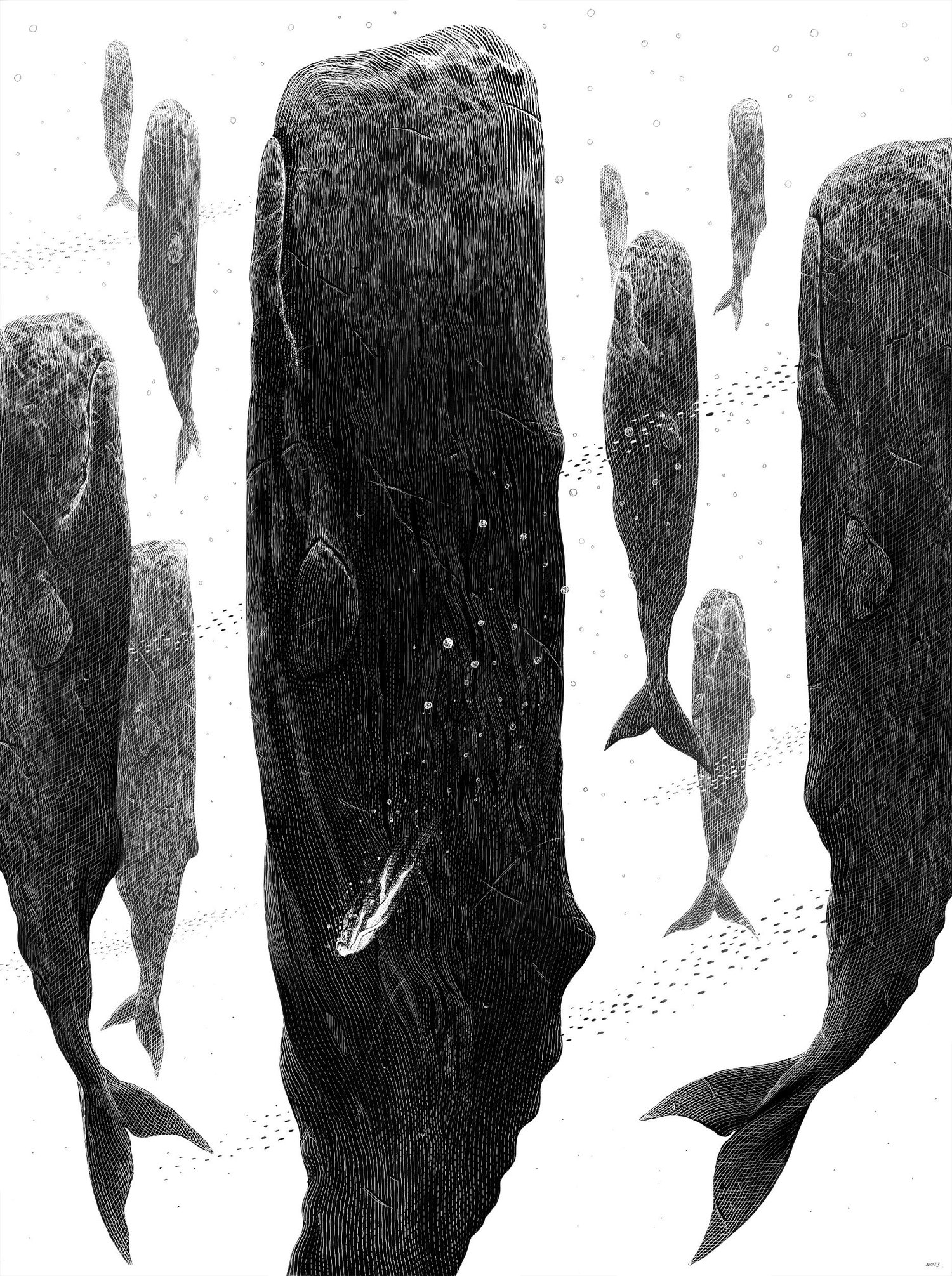 Nicolas Delort — Root Literary