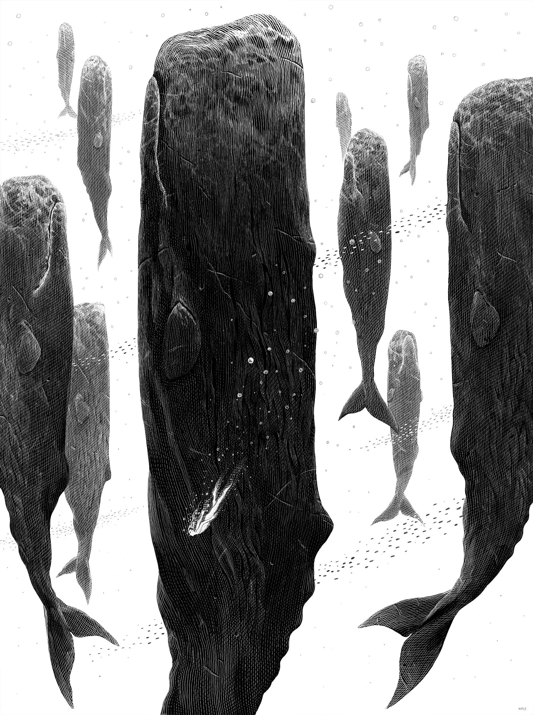 Nicolas Delort — Root Literary