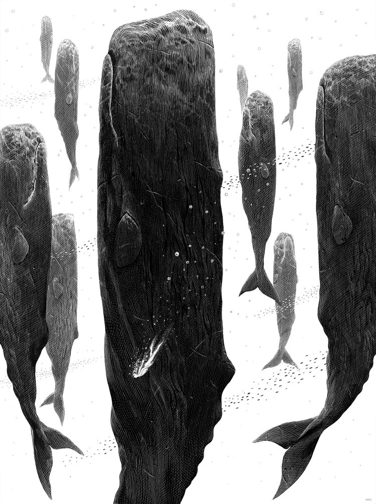 Nicolas Delort — Root Literary