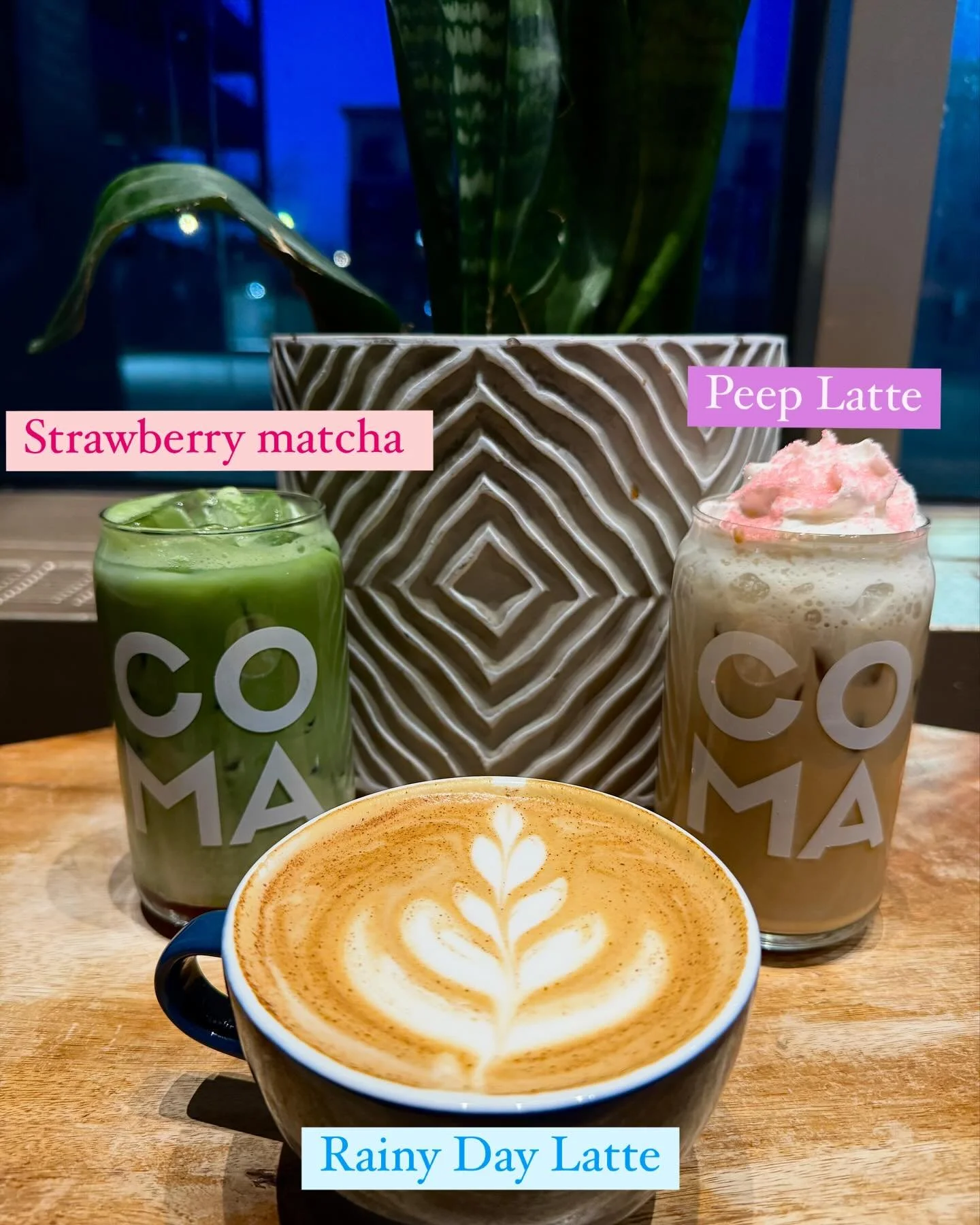 Coma Coffee Roasters