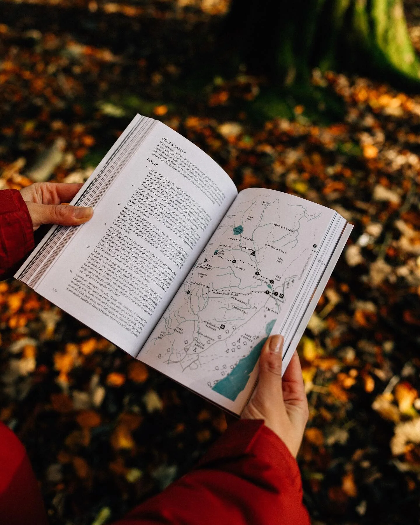 Ramble Family — Ramble Co.