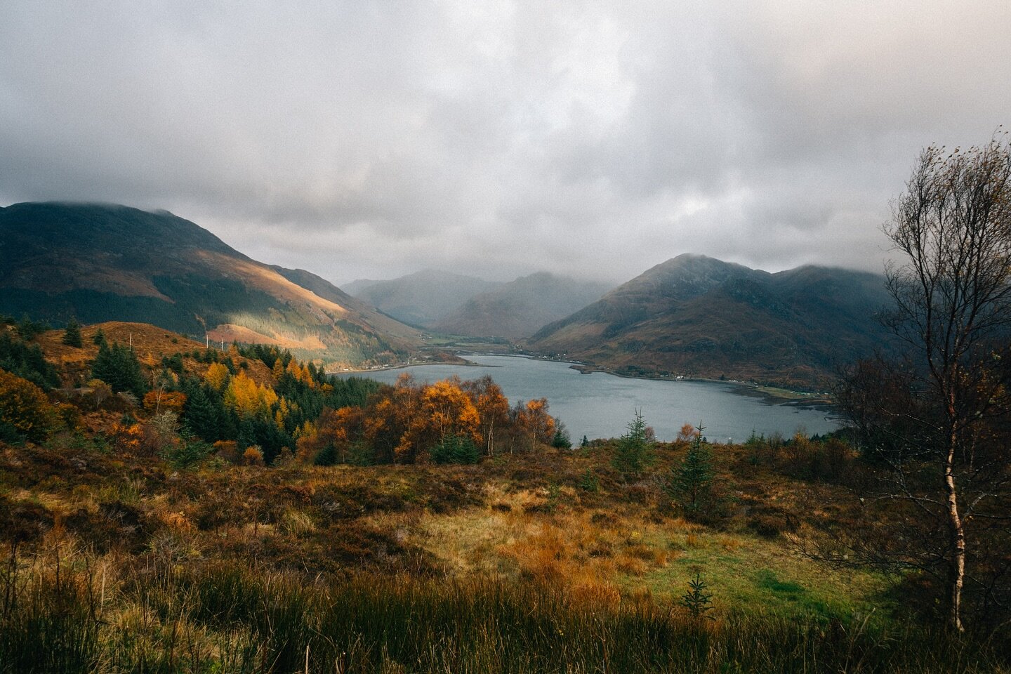 Ramble Family — Ramble Co.