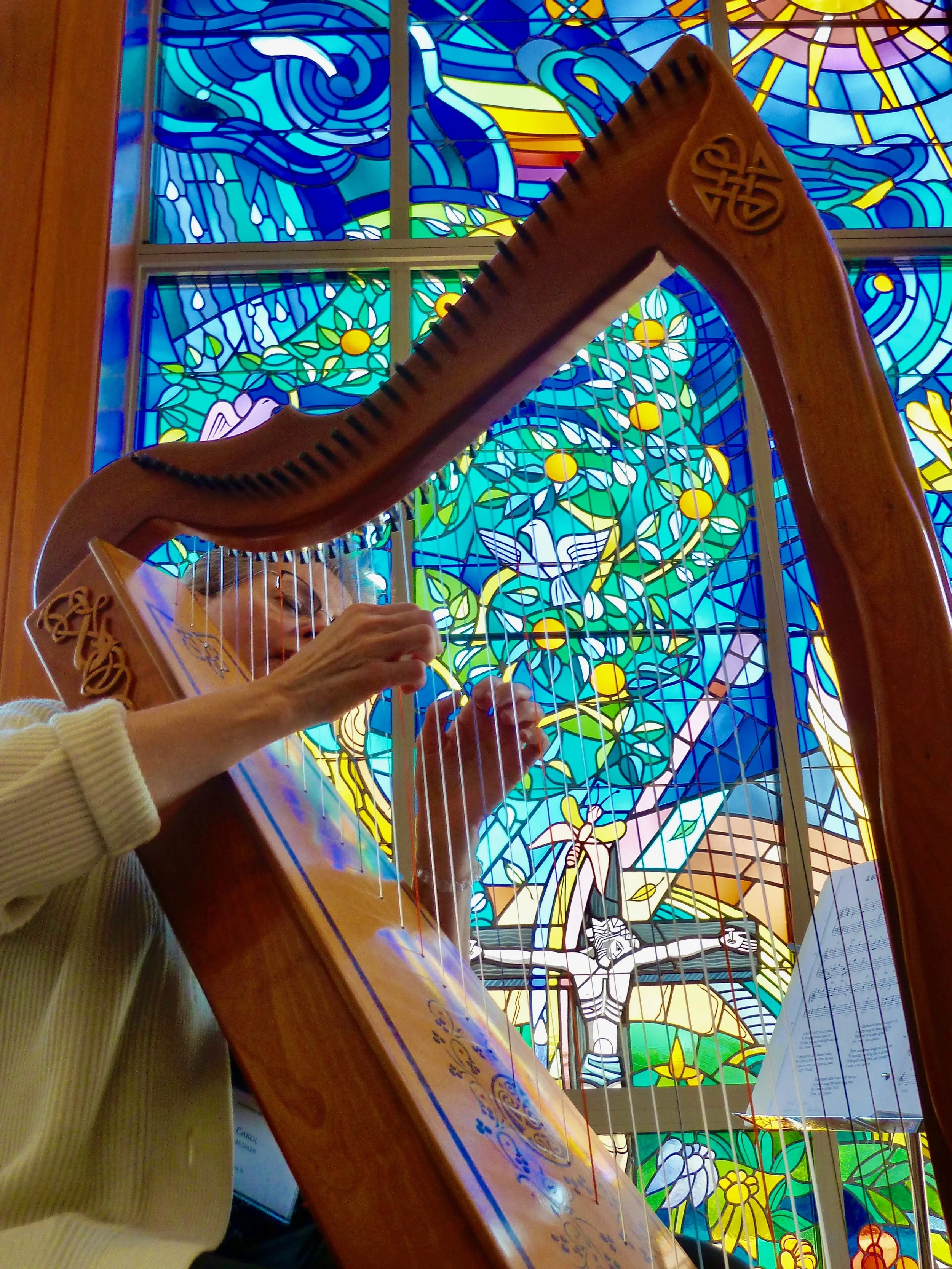 Shop! — Rees Harps Inc.