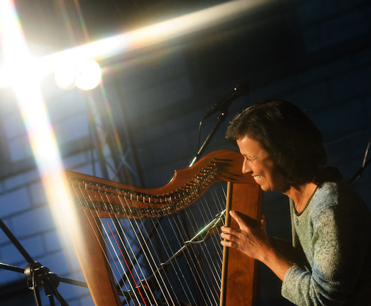 Shop! — Rees Harps Inc.