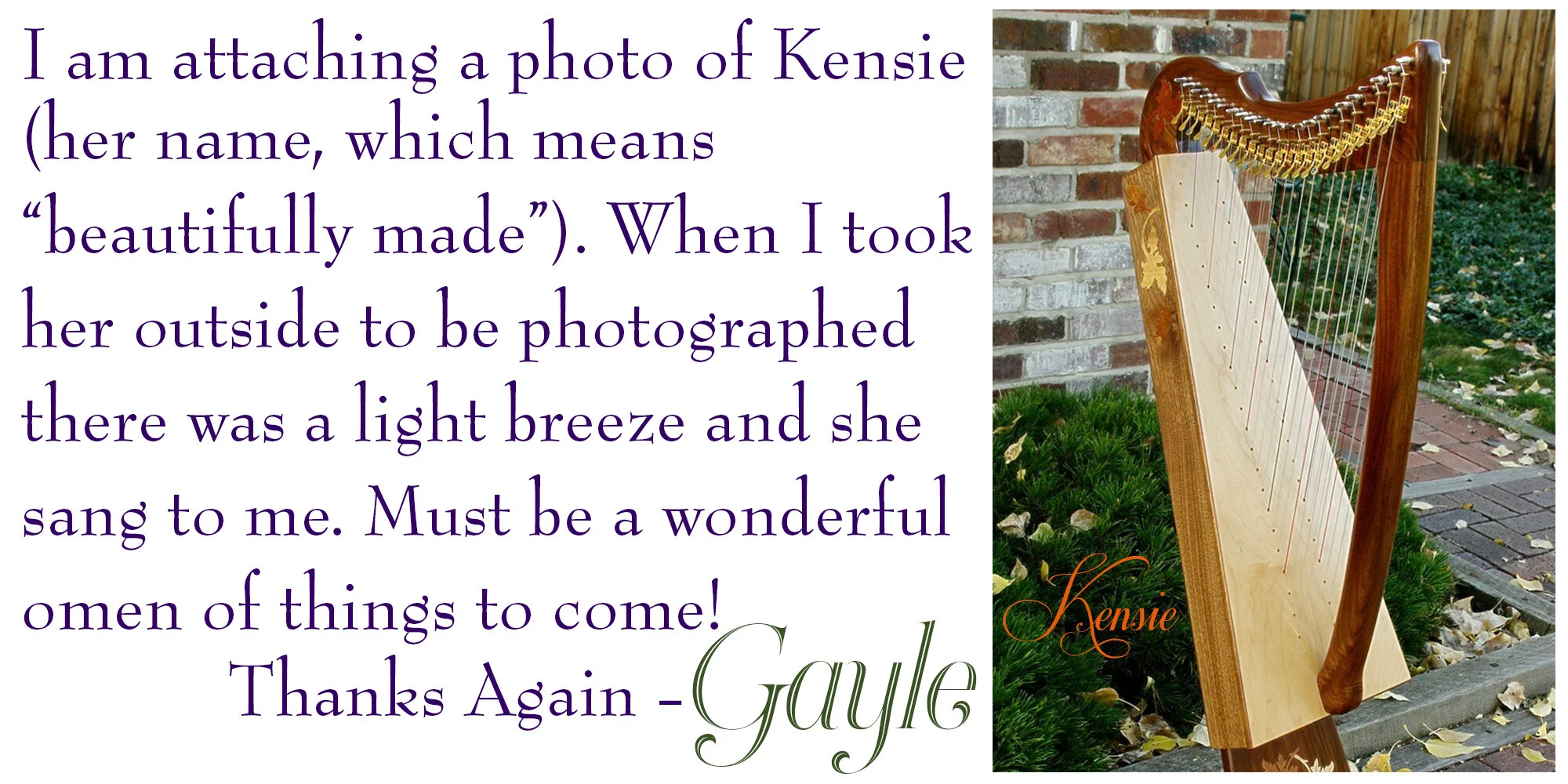 Rees Concert Lever Double Harps — Rees Harps Inc.