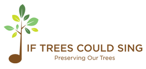 The Historic Sam Davis Home and Museum: A Nonprofit Organization