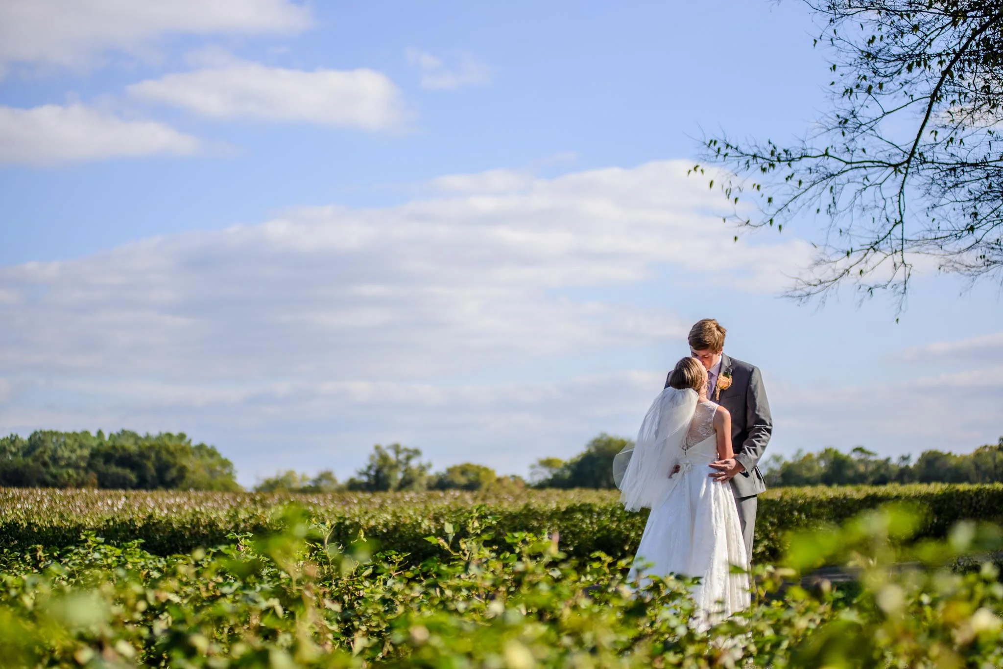Photography — The Historic Sam Davis Home and Plantation: A Nonprofit ...