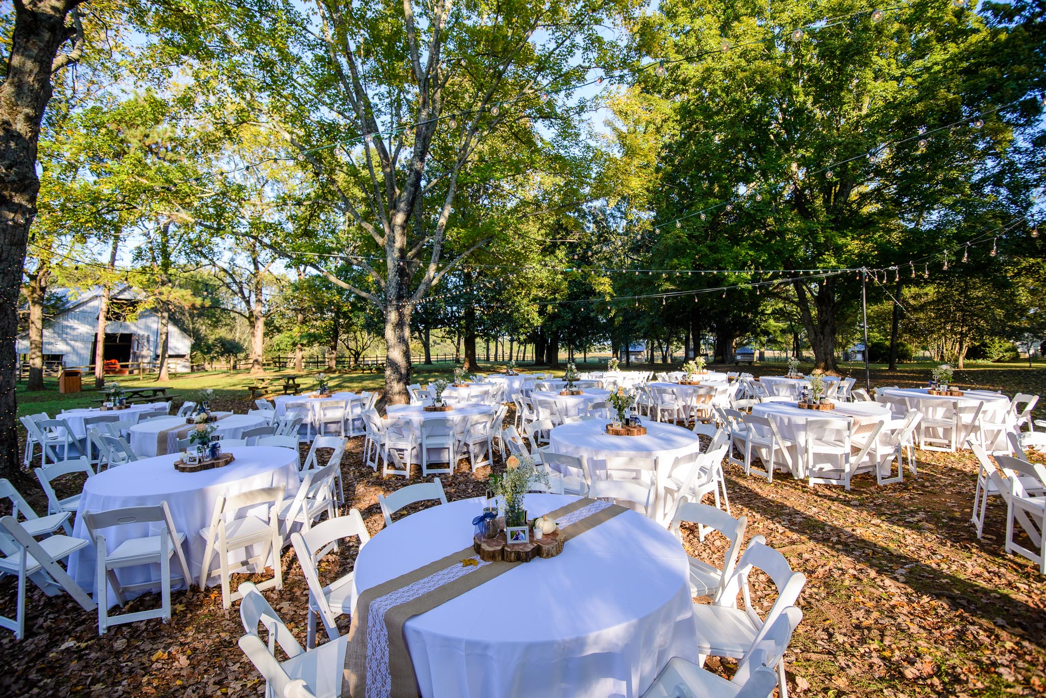 Photography — The Historic Sam Davis Home and Plantation: A Nonprofit ...