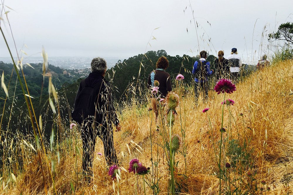 SELF-GUIDED WALKS — Berkeley Path Wanderers Association