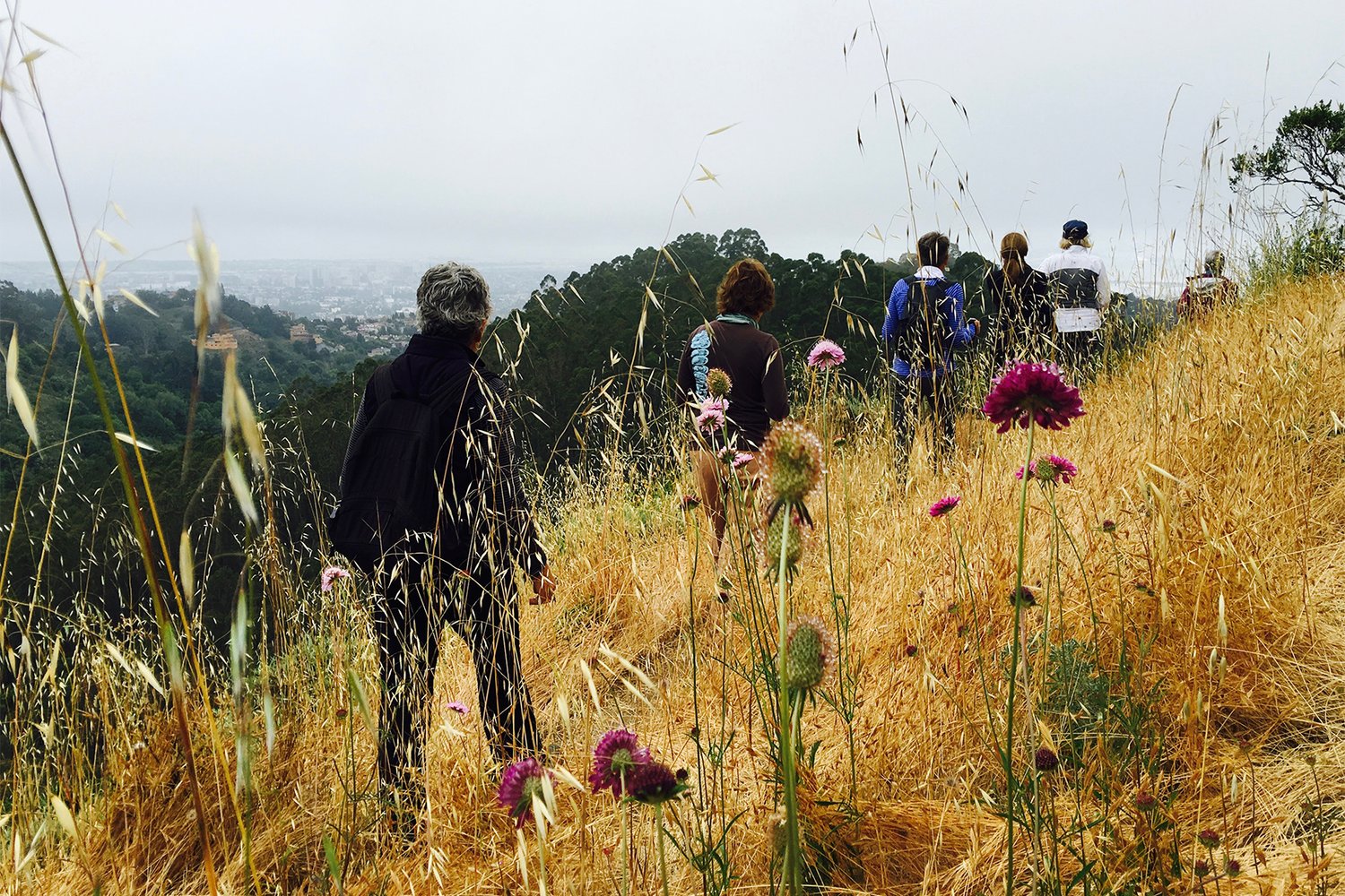 SELF-GUIDED WALKS — Berkeley Path Wanderers Association