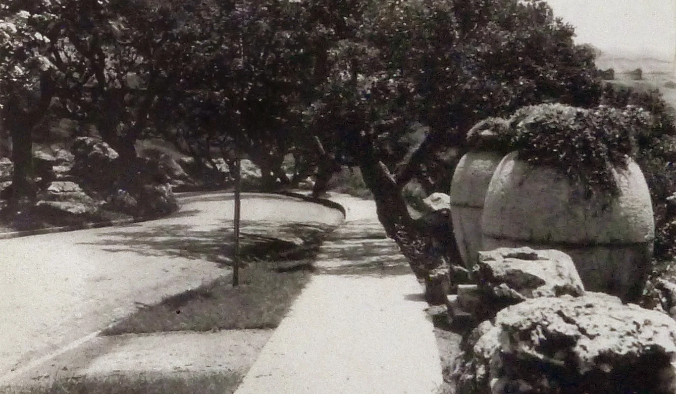 OUR HISTORY — Berkeley Path Wanderers Association