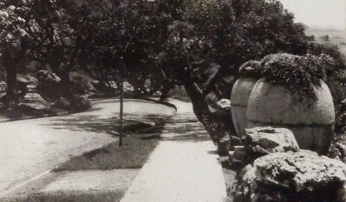 OUR HISTORY — Berkeley Path Wanderers Association