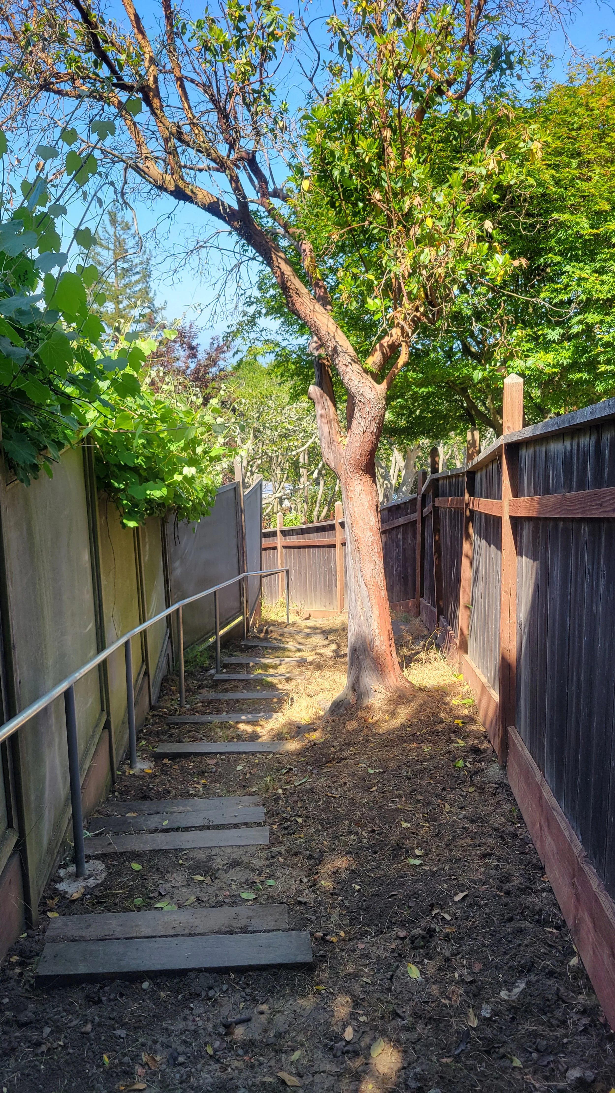 Betty Olds Path | Discover Scenic Walks - Join the Community — Berkeley ...