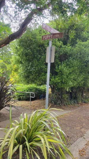 Poppy Path | Explore Local Trails - Join Our Walks — Berkeley Path ...