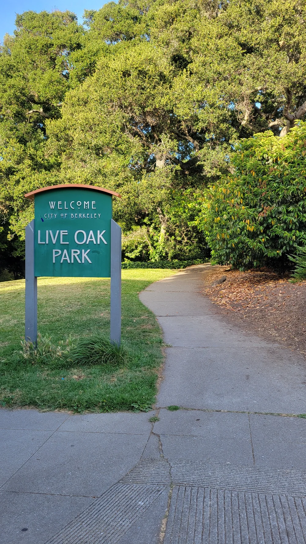 Berryman Path - Middle | Discover Trails - Join Our Walks — Berkeley ...
