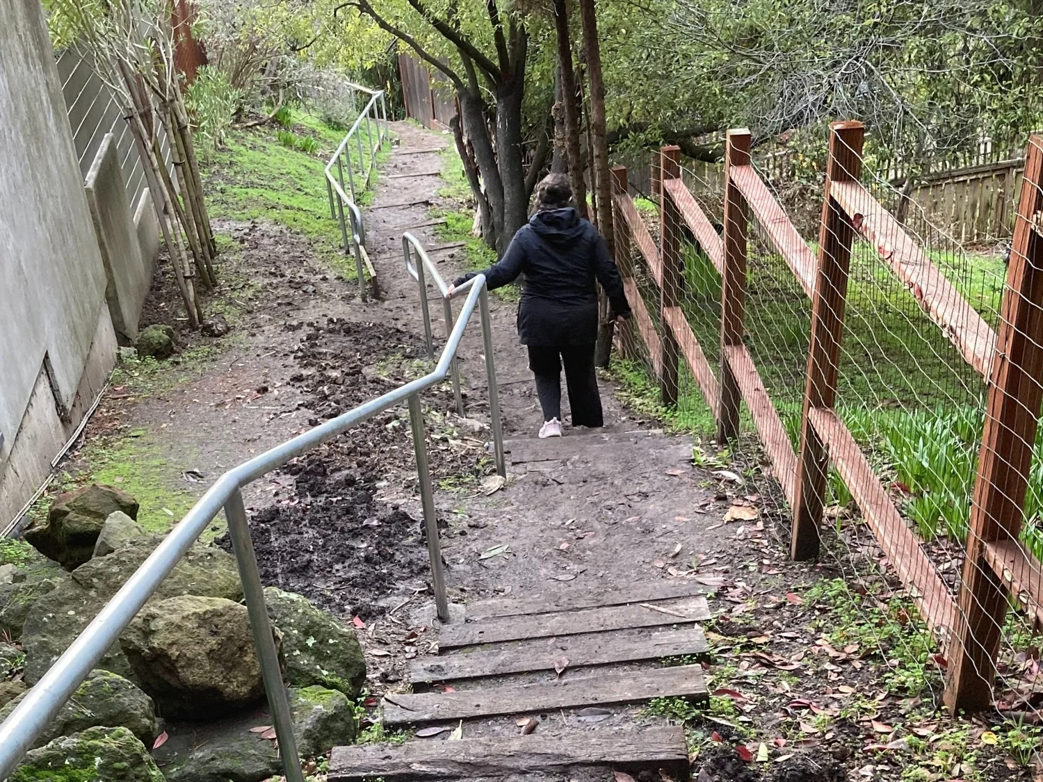 Handrails! Handrails! Handrails! — Berkeley Path Wanderers Association